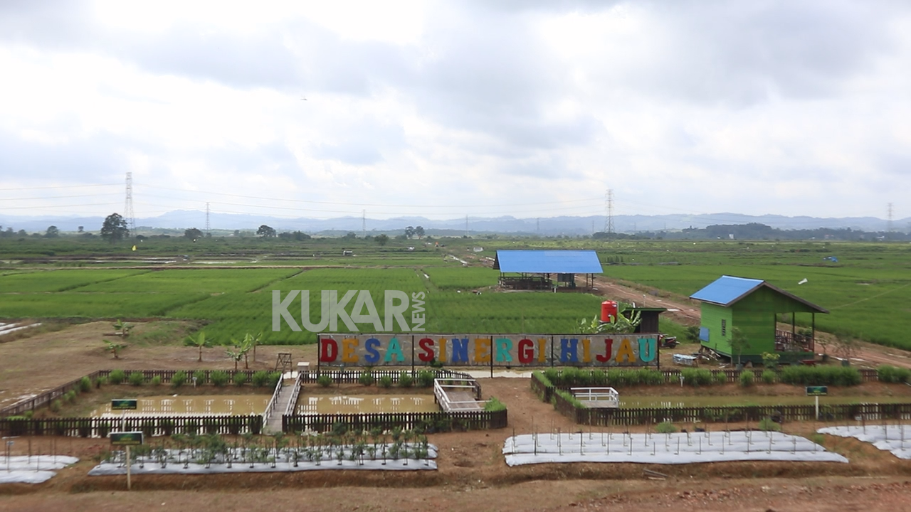 Desa Karangdowo Mandiri Pangan: Strategi Perencanaan dan Pengelolaan Pertanian | Karangdowo