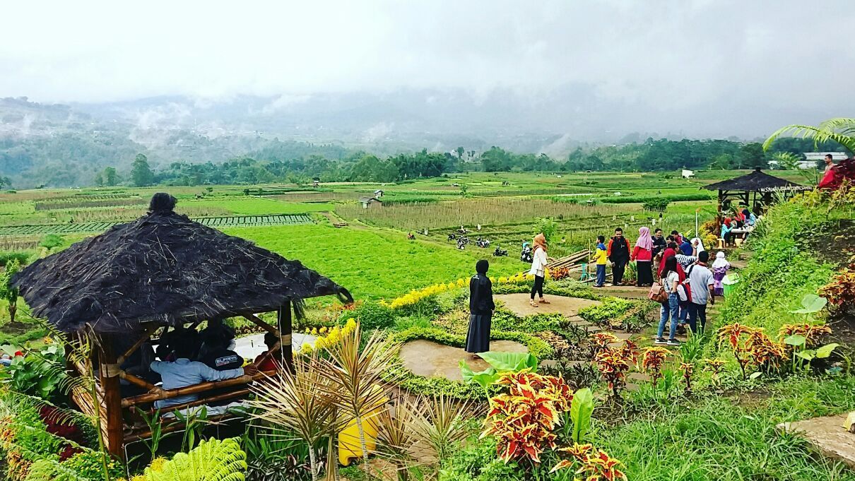 Fungsi Lembaga Kearsipan Desa Karangdowo: Membangun Sistem Informasi ...